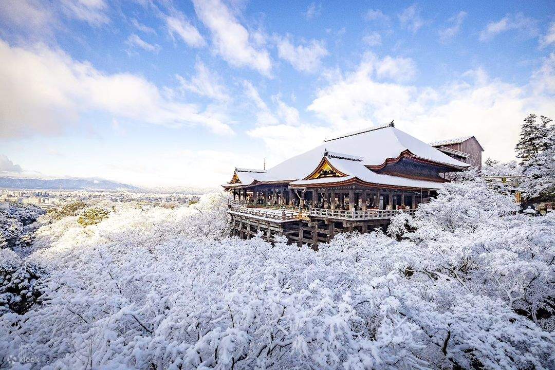Kyoto: Kiyomizu-dera Temple & Miyama Thatched House No Sato Snow Light ...